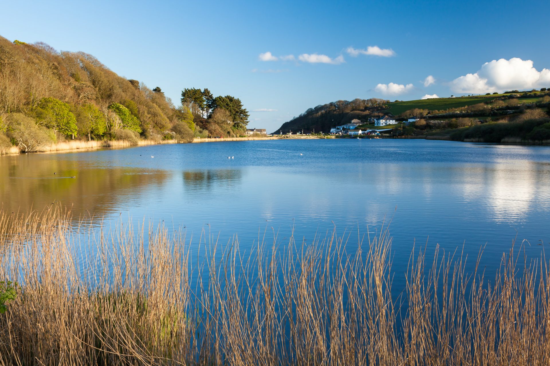 Swanpool Nature Reserve - Country View Cottages